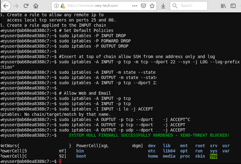 CoreNetWars Continuous